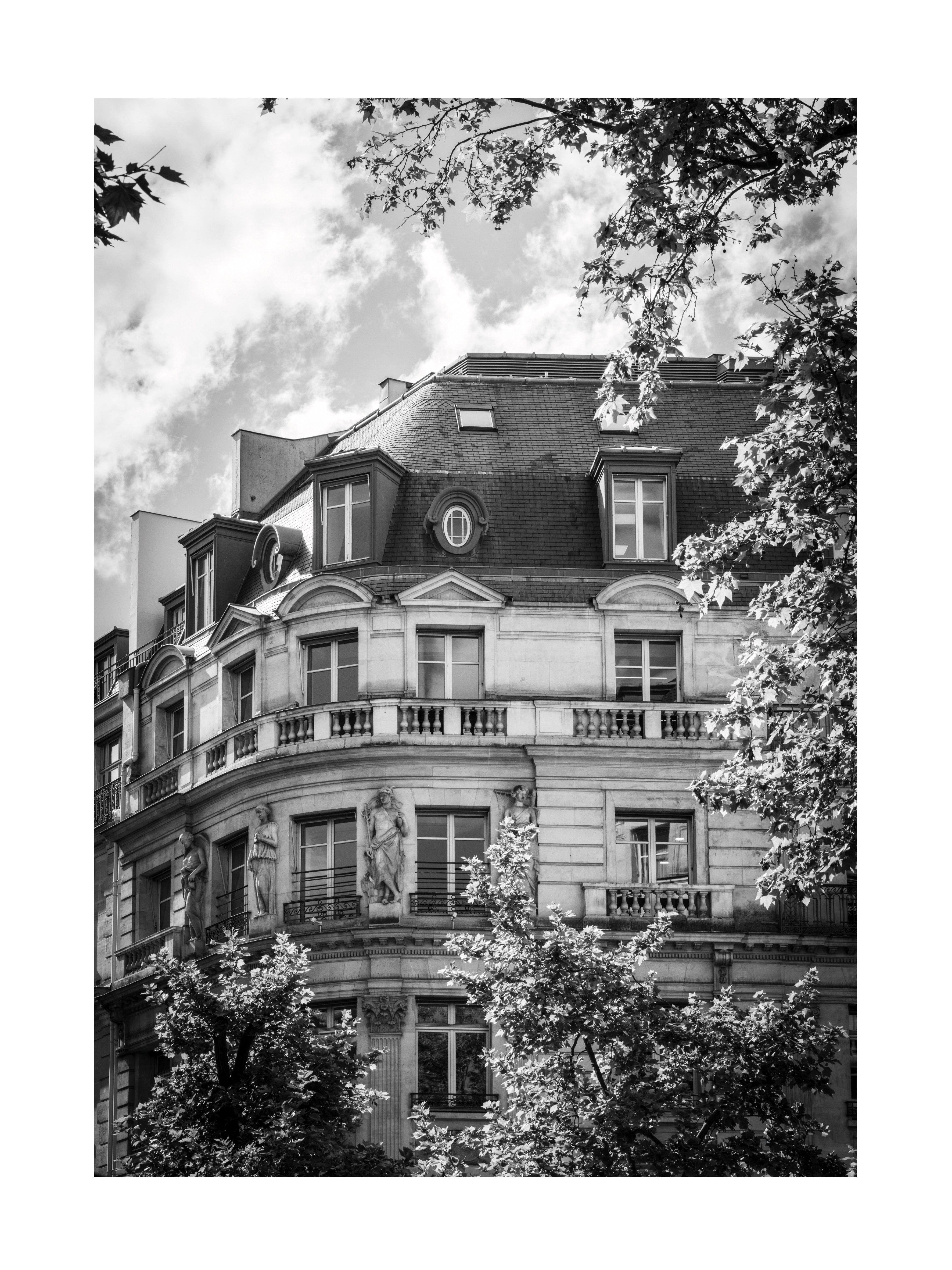 Paris Rooftop Poster