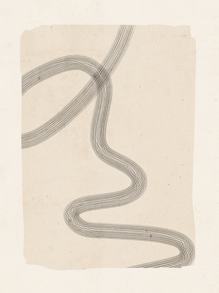 Abstract Winding Line Poster